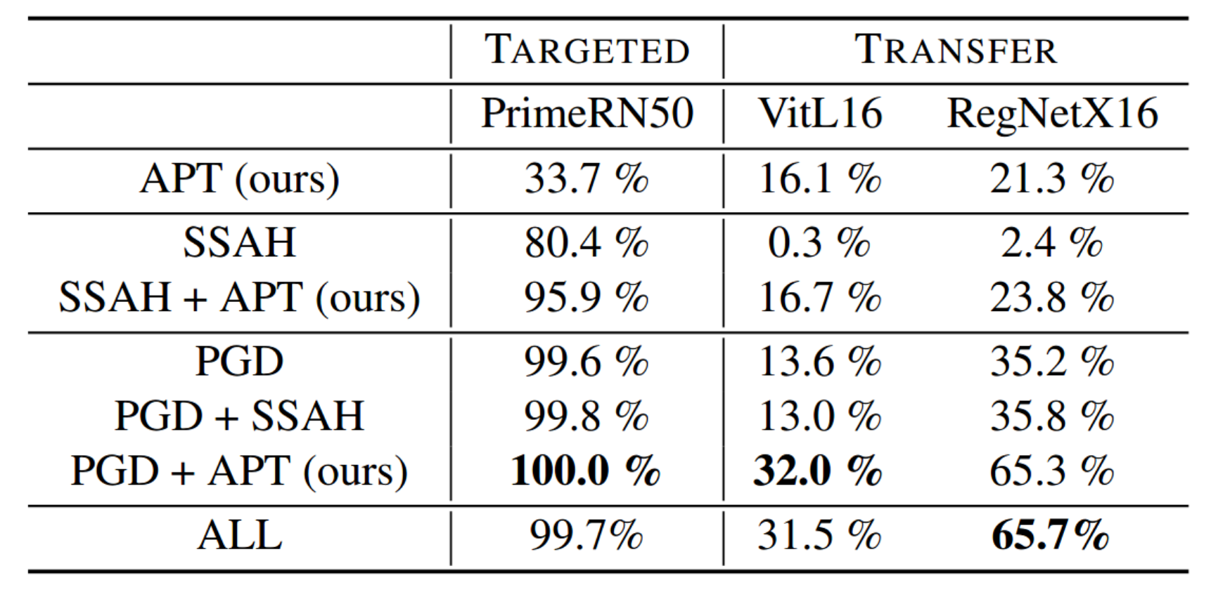 Assessing Neural Network Robustness via Adversarial Pivotal Tuning